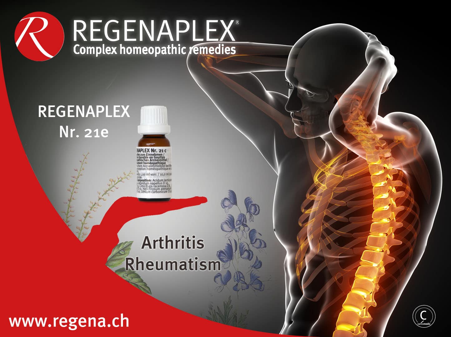 REGENAPLEX Nr. 21e | REGENAPLEX