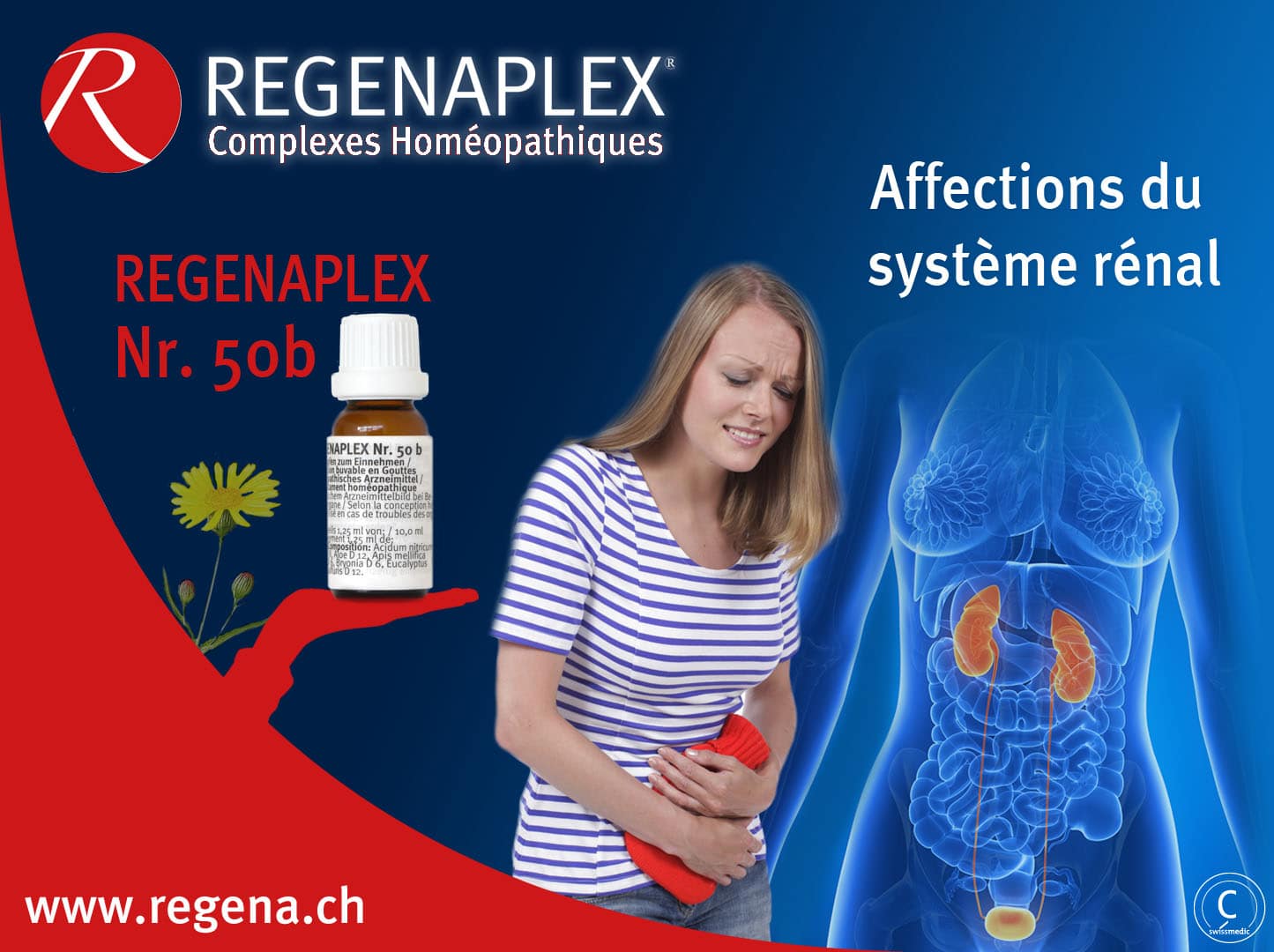 REGENAPLEX Nr. 50b | REGENAPLEX