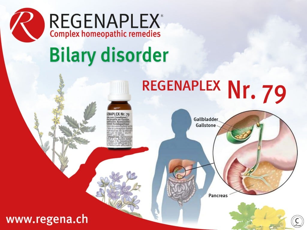 REGENAPLEX Nr. 79 | REGENAPLEX